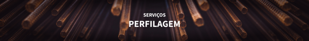 Grupo Oiticica – Perfilagem – Grupo Oiticica